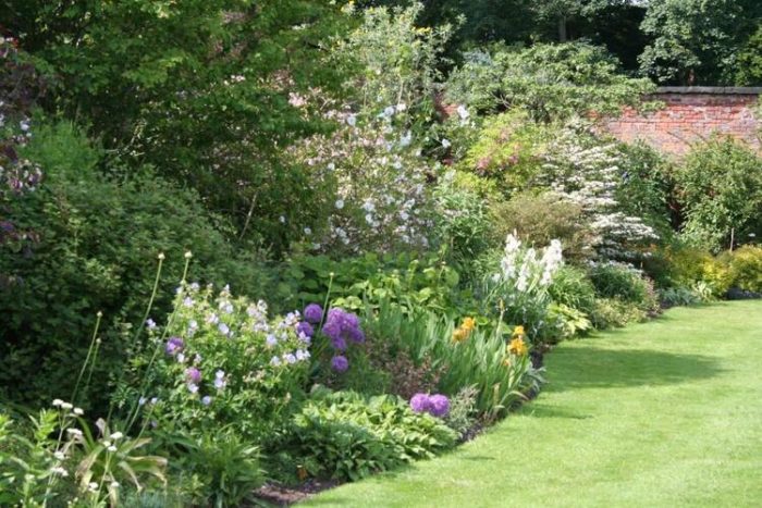 Massif de vivaces fleuri toute l’année : que choisir